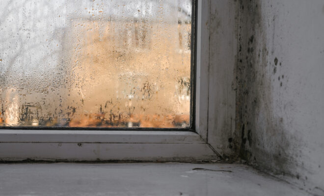 Qu'est-ce que la condensation et comment se forme-t-elle