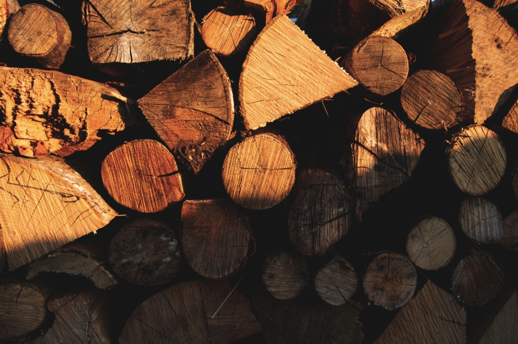 Tout connaître sur les différents types de bois de chauffage